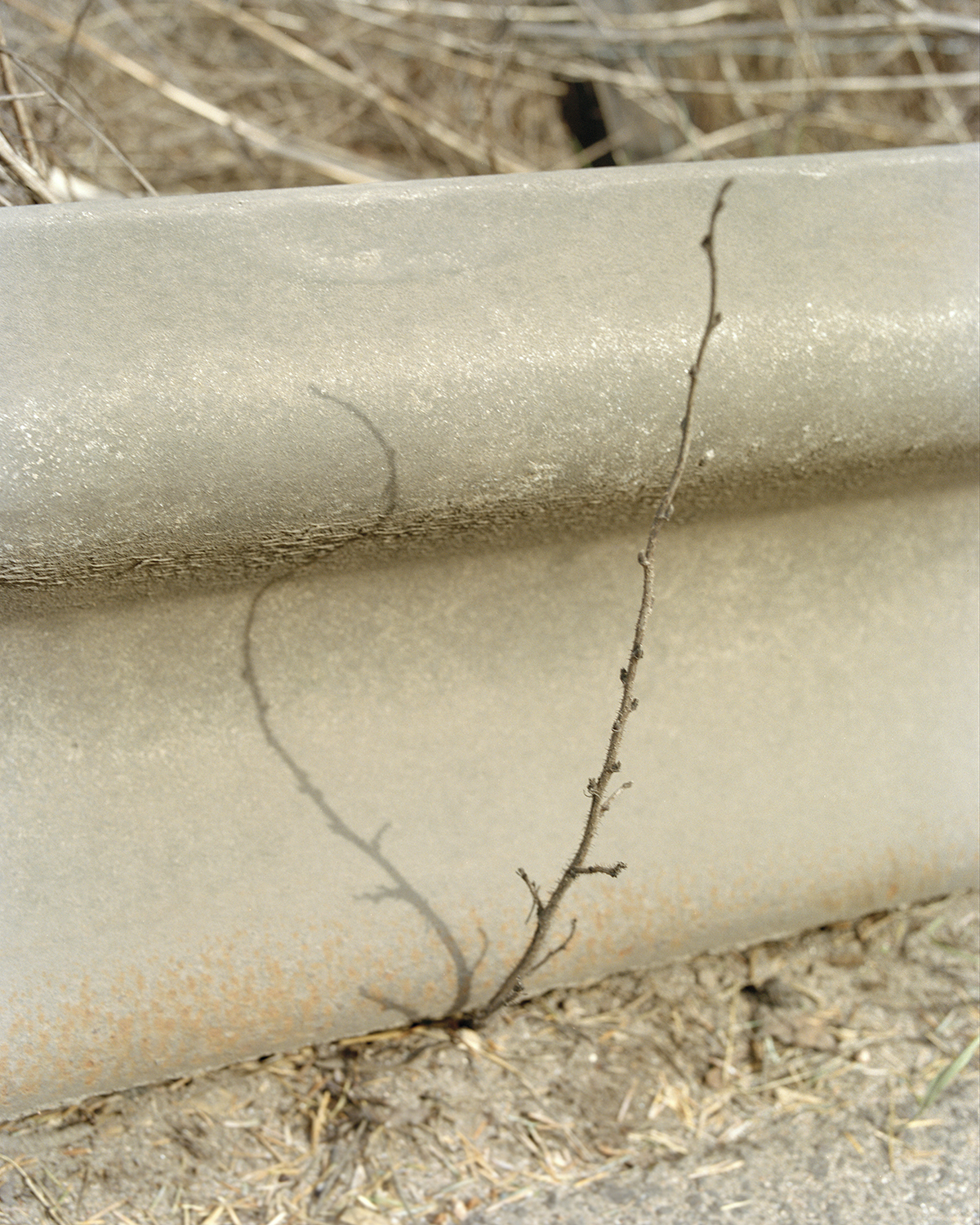 Max Howarth – GSA Showcase 2021